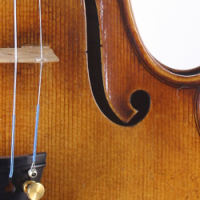 violin button – Seery Strings